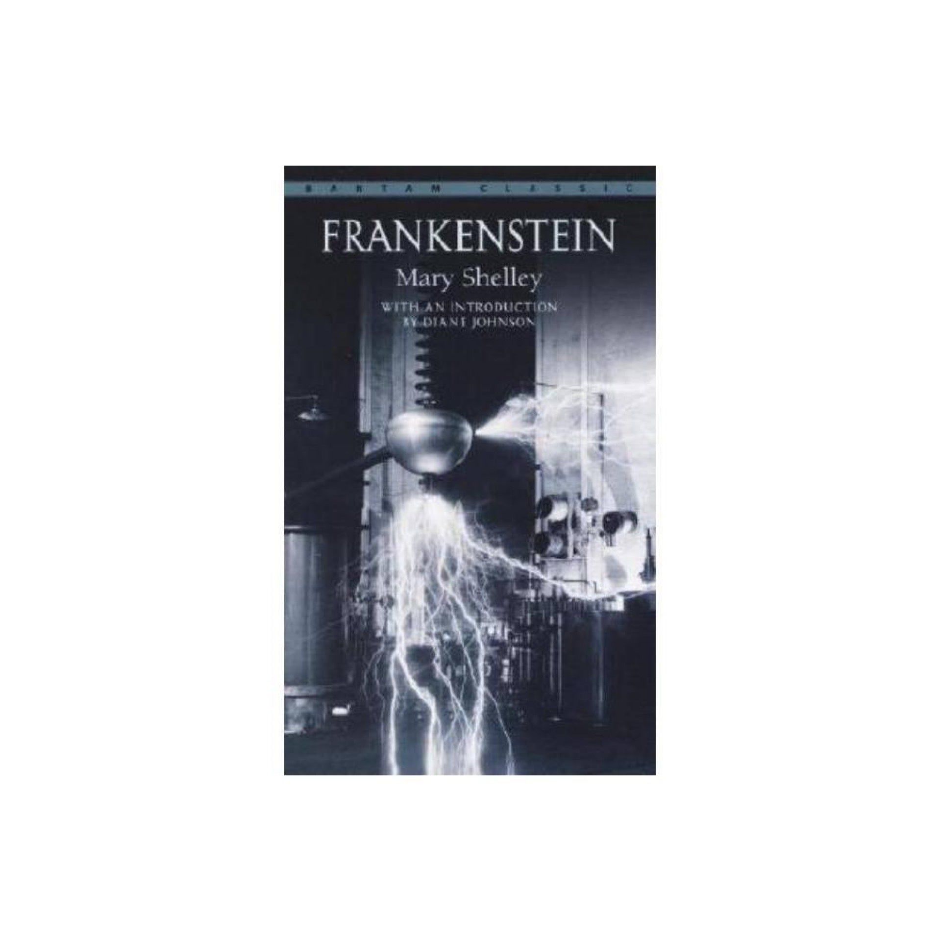Frankenstein | Butcher Cabin books